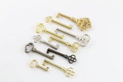 10 Piece Bit + Barrel Skeleton Key Selection