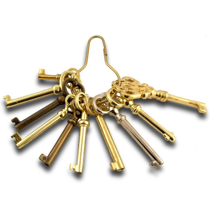 10 Piece Bit + Barrel Skeleton Key Selection